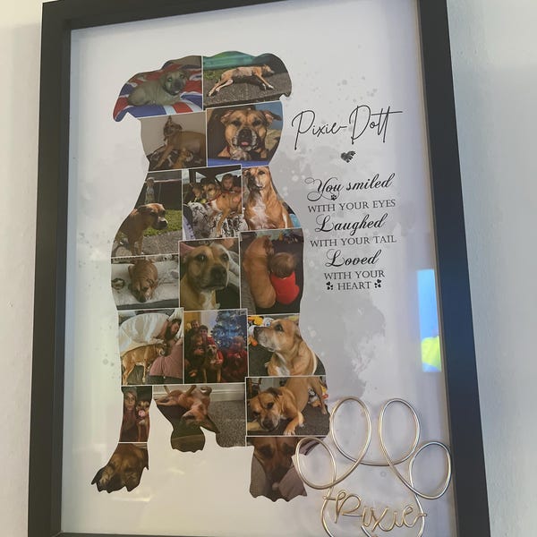 Staffordshire Bull Terrier Photo Collage Print: Personalized Pet ...
