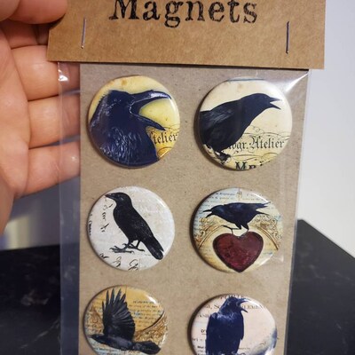 Human Anatomy Eye Optometry Magnets 1.5 Inch Round 6 Piece Magnet Set ...