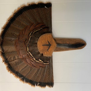 Classic Turkey Fan Mount - Etsy