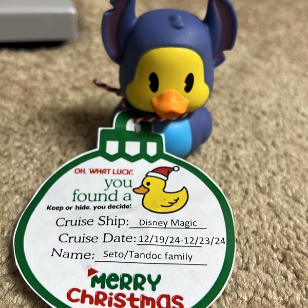 Printable Labels Tags for a Cruise Ship Christmas Duck Hunt | Rubber ...
