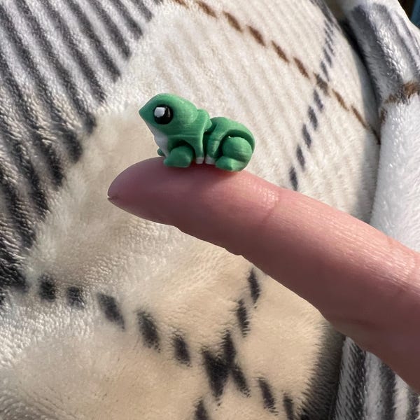 Nano Frogs Toads 3D Printed Articulated Fidget Sensory Toy Desk ...
