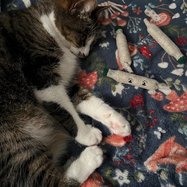 Cat Toys - Felt Catnip Joints - Set of 3 - Available in Catnip ...