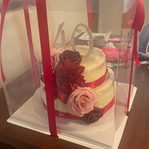 5 Cake and Cupcakes Combo Bento Boxes With Clear Lid and Cupcake Holes ...