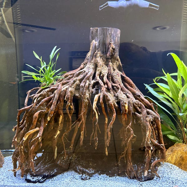 Aquarium Driftwood Centerpiece Aquascape Hardscape Arch Fish Tank ...