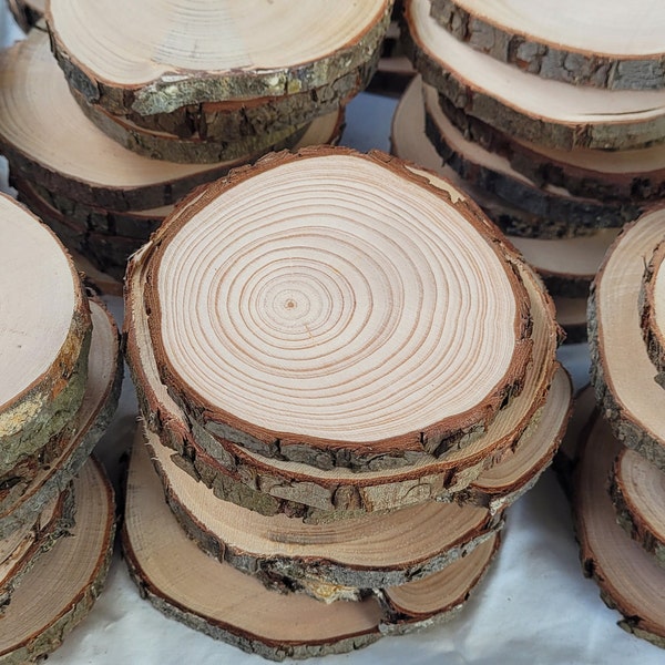 100 Discount Woodslices • Assorted Pack of Wood Slices • Tree Slices ...