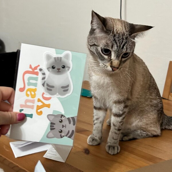 Tabico Calico Tabby Cat Vinyl Sticker for Water Bottle and Laptop, Cute ...