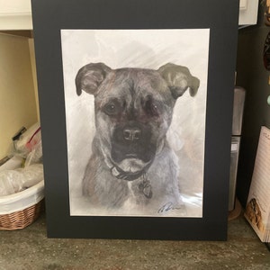 Custom Pet Portrait Charcoal Custom Dog Portrait Pet Commission Custom ...