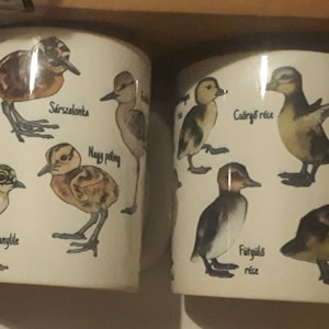 British Male Ducks Identification Chart and Illustration With - Etsy