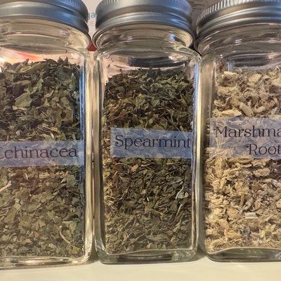 Nettle Herb & Jar - Etsy