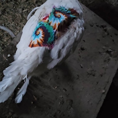 Chicken Diapers/ Hen Diapers/ Birds Diapers/rooster Diaper - Etsy