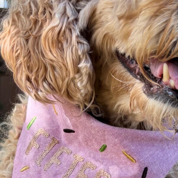 Personalized Dog Bandana Birthday Girl Bandanna for 1st Birthday ...