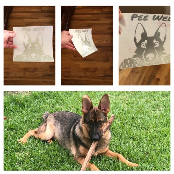Car Decal "don't Pet Yes He Bites" Sticker K9 Handler, Service Dog - Etsy