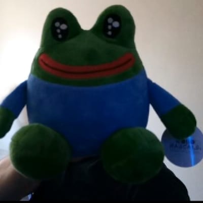 Mizkif Peepo Plushie - Etsy