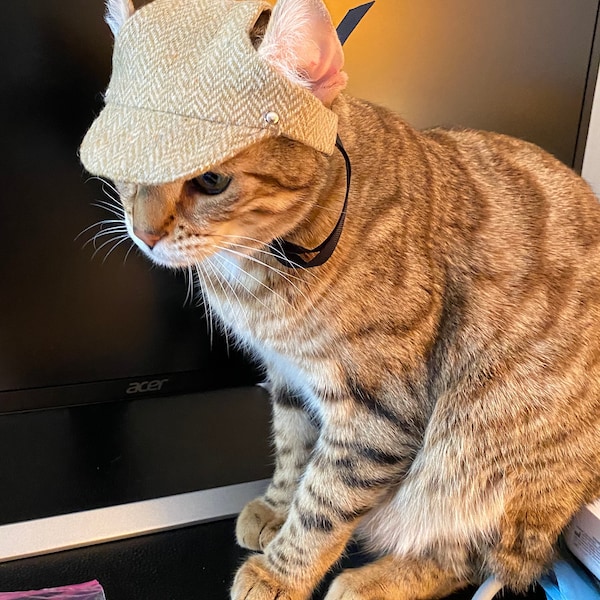 Ready to Ship. Classic Cat Hat. Cap for Cats and Kittens. Yellow ...