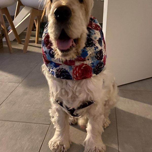 Waterproof Dog Snood | Cocker Spaniel Snood | Basset Hound Snood ...