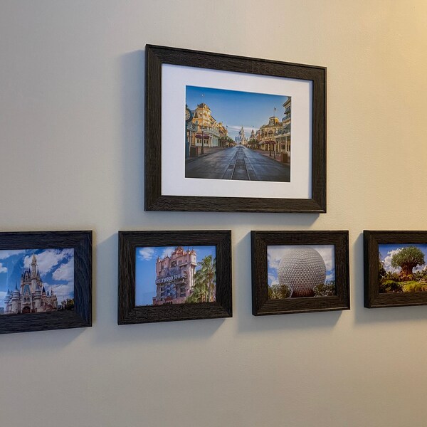 The Tree of Life at Night - Animal Kingdom Photo Prints and Canvas Wraps, Walt Disney World - Etsy