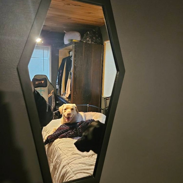 Gothic Decor Coffin Mirror 21 Inches by 11 Inches - Etsy