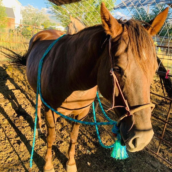 Custom Mecate Rein, Mecate Reins, Yacht Rope Mecate, Mecate Set, Horse ...