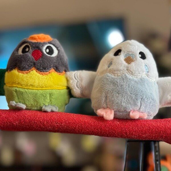Nuzzles Worry Borb, Lovebird Plush, Parrot Plush, Anxiety Plush, Peach ...