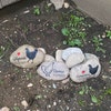 Chicken Pet Memorial Stone, 5”/6" Only, Hen, Rooster, Silkie, Outdoor ...