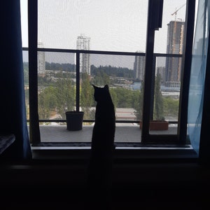 Custom Flat Cats Window Screens Mesh Window Protection for Cats - Etsy