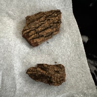 RARE Ifa Practical Guide Book guia PRACTICA De IFA Free Shipping - Etsy UK