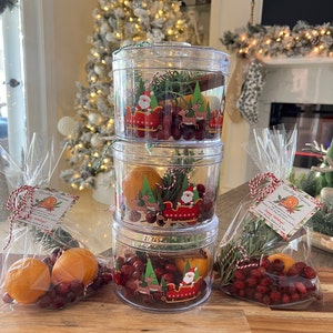 Girl Scout Stickers, Girl Scout Labels, Personalized Girl Scout ...