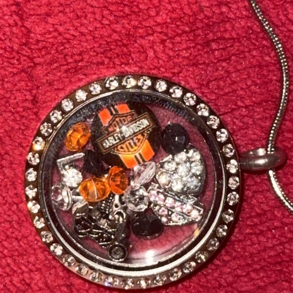 Lion King Inspired Floating Charm Locket Necklace - Etsy