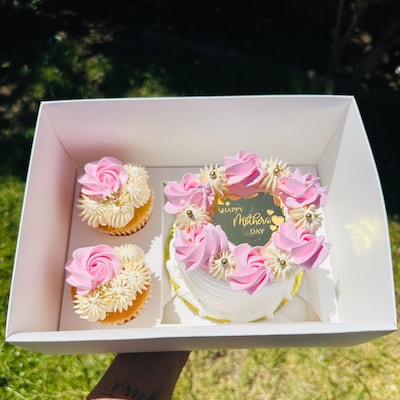 10 Cake and Cupcakes Bento Boxes With Clear Lid and Cupcake Holes, Cake ...