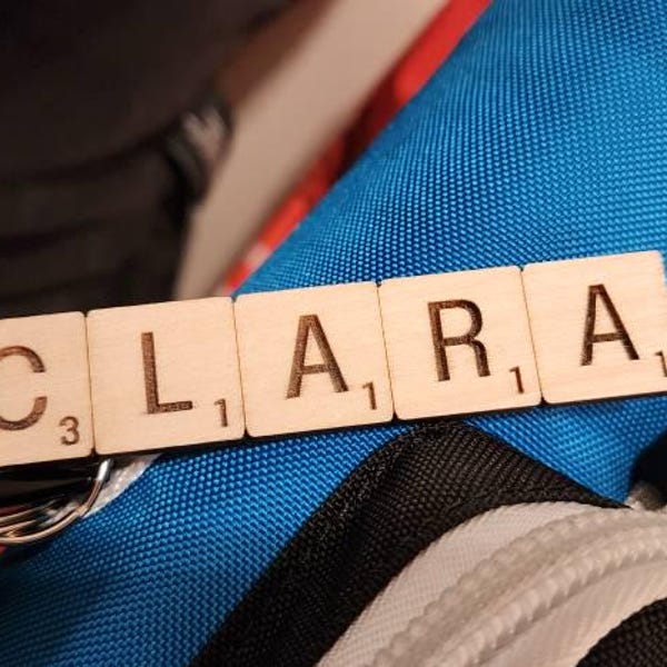 State of Minnesota Wall Hanging, Minnesota Wood Decor, Cabin Decor ...