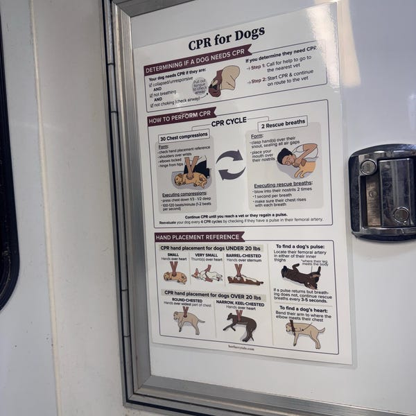 Dog Choking First Aid Magnet: Safety Maneuvers & Demo - Etsy