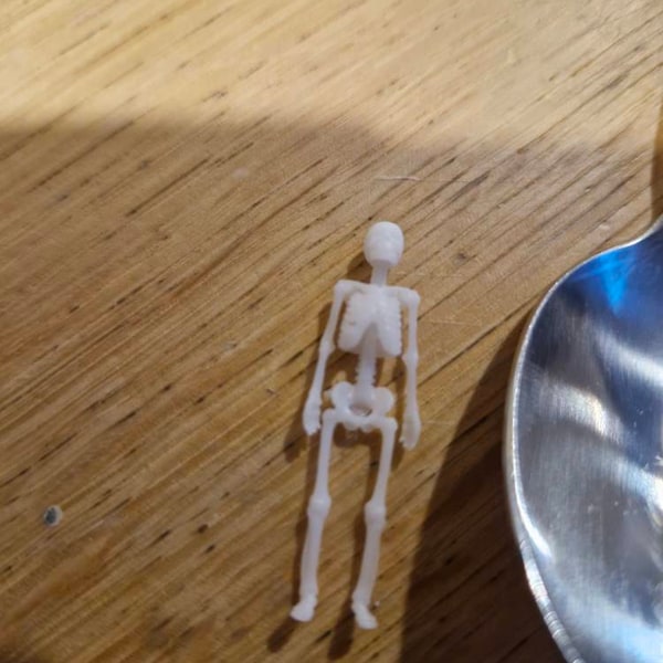 Human Skeleton - 1:24 Scale Miniature for Horror Diorama, Dollhouse ...