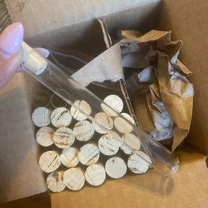 50 Count Glass Culture/test Tubes Various Sizes FREE SHIPPING - Etsy