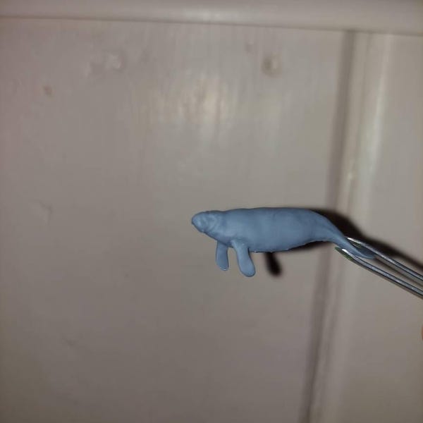 Galápagos Giant Tortoise Chillin - UNPAINTED - Animal Den Miniatures - Etsy