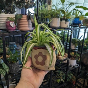 D20 Planter Dnd Dice 3D Printed Hand-painted - Etsy