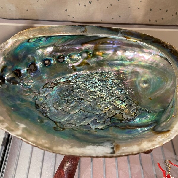 Large Abalone Shell, Colorful Abalone Shell, Natures Painting in a ...