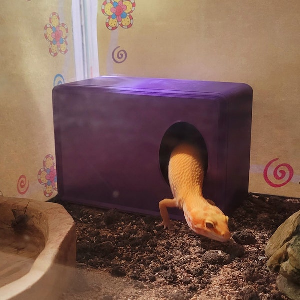 Leopard Gecko Moist Hide / Lay Box - Etsy