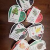 Tree Puns Valentine Cards for Kids Printable Woodland Valentines DIY ...