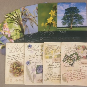 Bach Flower Divination Cards Pack - Etsy