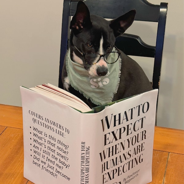 INSTANT DOWNLOAD What to Expect When Your Humans Are Expecting Fake ...