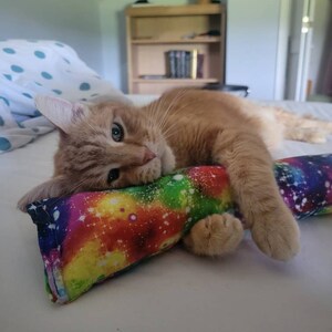 16 Catnip Toy Large Kicker Cat Toy Cat Gift Organic - Etsy