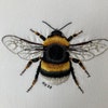 Bee: Hand Embroidery Pattern. Thread Painting Tutorial. PDF Digital ...