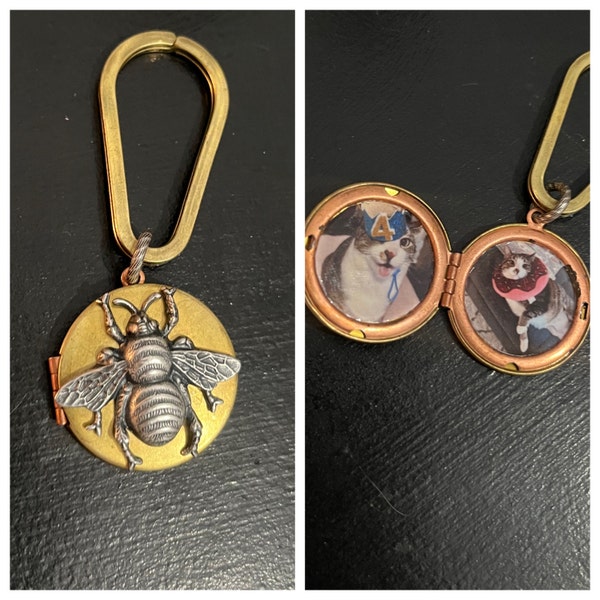 Turtle Locket Solid Brass Sterling Plated Unique Locket Hidden Secret ...