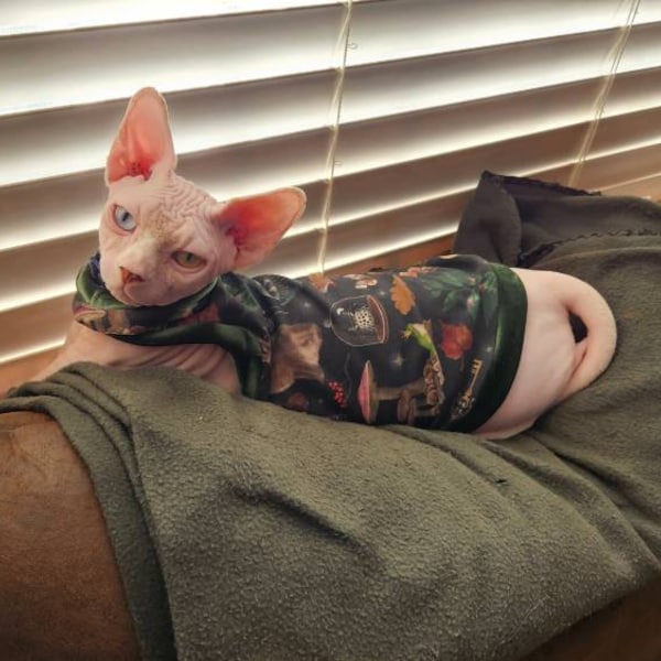 Sphynx Cat Shirt Sphynx Cat Clothes Hairless Cat Clothes Sphynx Cat ...