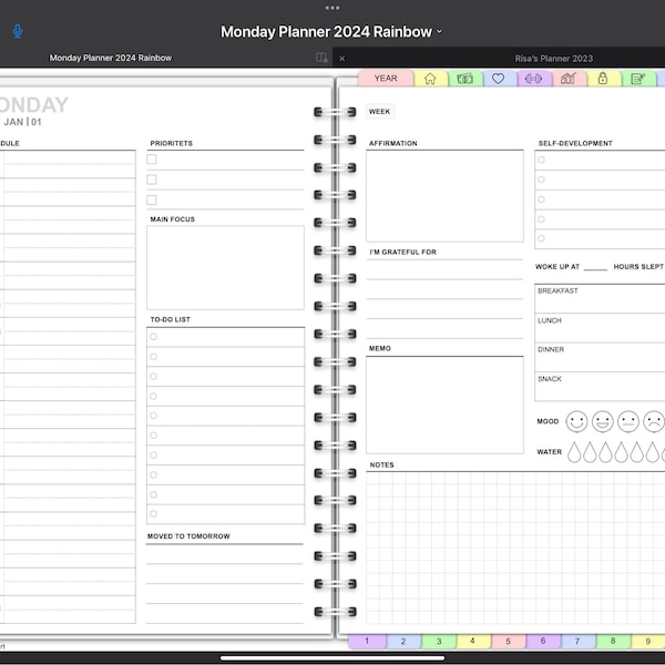 2025 Digital Planner for Ipad, Notability and Goodnotes Compatible ...