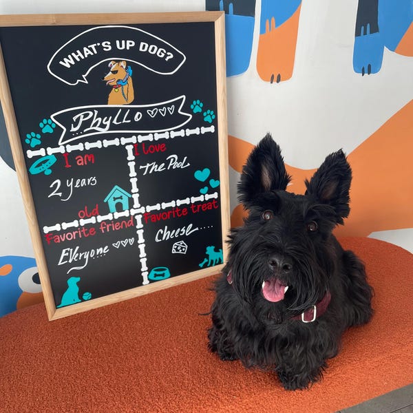 Veterinary First Visit Chalkboard - Vet Visit Chalkboard - Pets First ...