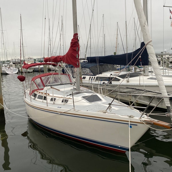 Opti Optimist Performance Race Sailboat Artwork Digital Download, Boat Line Drawing Sketch Art ...