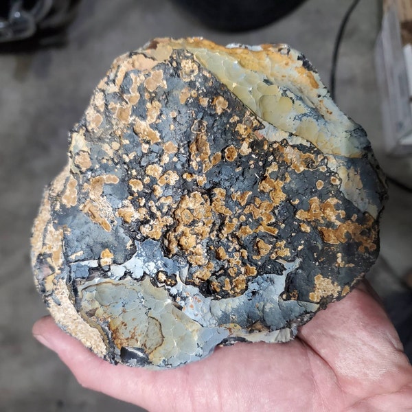 Botryoidal Agate, Oregon Agate With Host Rock, 1 Lb 4 Oz, River Agate ...