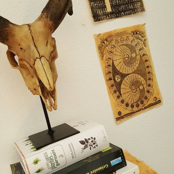 PROMOTION ! Buy 2 Prints Get 1 Free | Occult Print, Occult Illustration ...