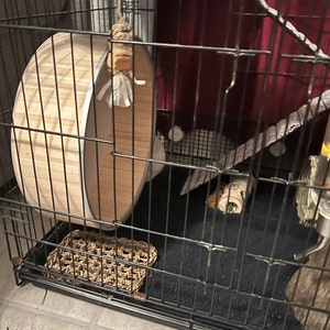 16 New Wheel Conception by Rodents Home. Aluminium Hoop Installed ...